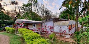 Home - Camping Shamballa